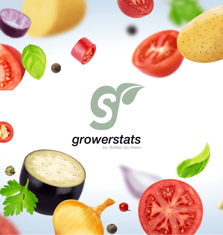 Portfolio | Ark Digital